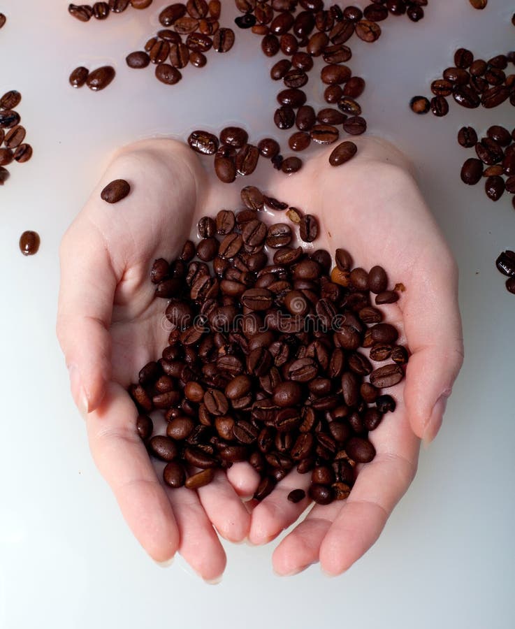 Coffee in hands stock photo. Image of palms, female, water - 14208106
