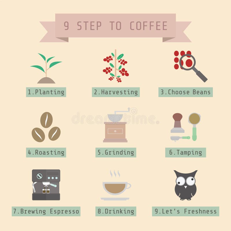 Coffee process stock vector. Illustration of background - 54743122