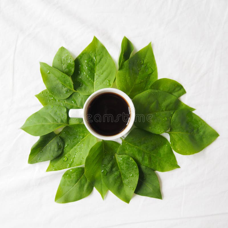 Coffee and leaves stock photo. Image of life, drink, leaf - 78181494