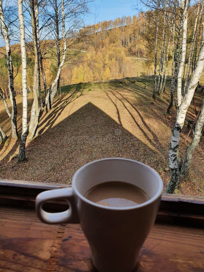 Coffee with a Mountain View Stock Photo - Image of flower, trees: 206637896