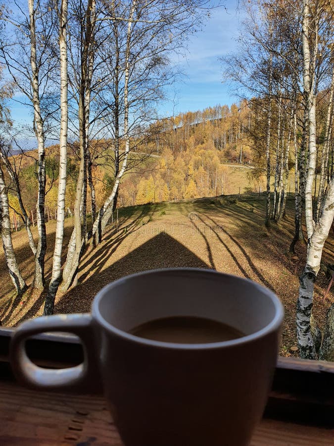 Coffee with a Mountain View Stock Photo - Image of flower, trees: 206637896
