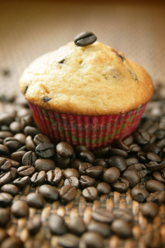 Coffee muffin stock photo. Image of coffee, muffin, dessert - 13697644