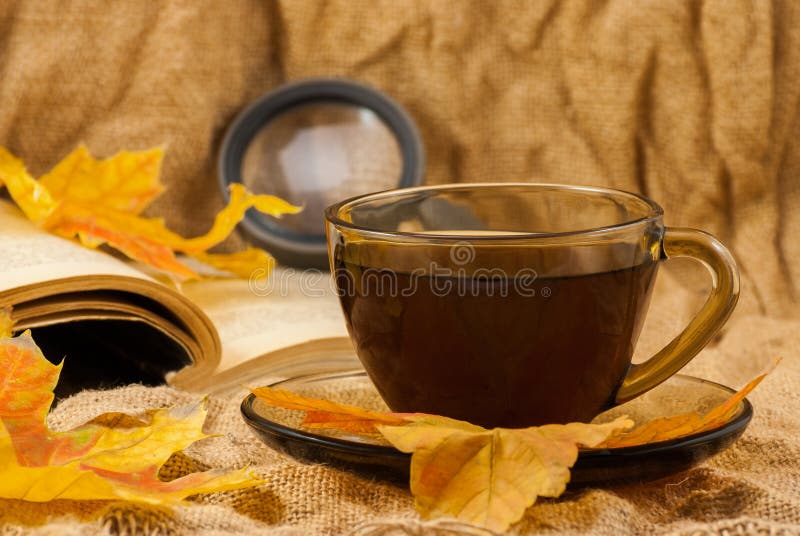 Coffee Mug, Autumn Fall Leaves with Book on Autumn Background. Close Up ...