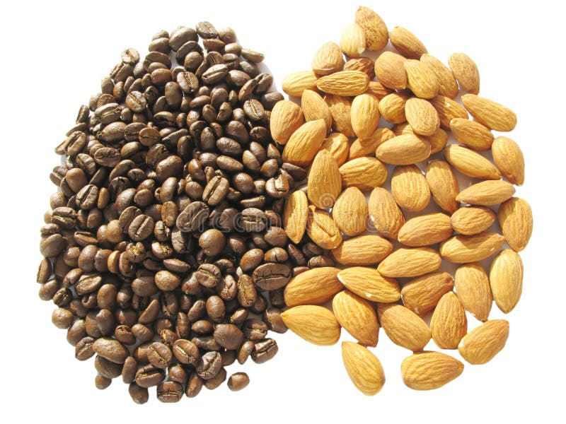 Coffee and nuts stock photo. Image of grain, nuts, coffee - 11605214