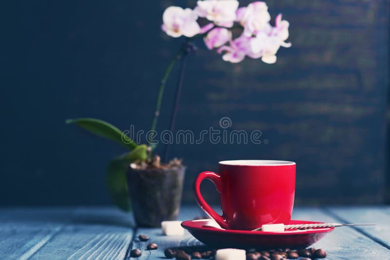 Coffee with orchid stock photo. Image of flower, violet - 115118984