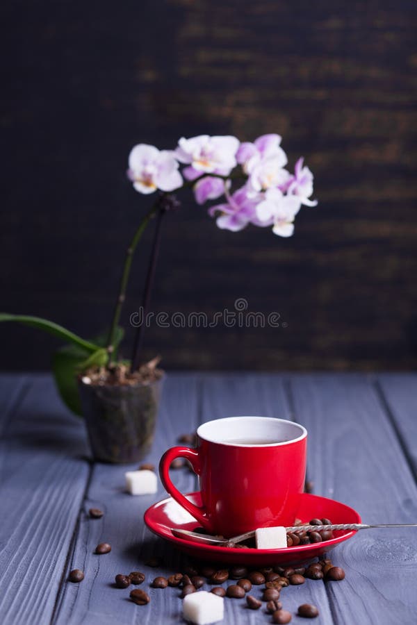 Coffee with orchid stock image. Image of espresso, floral - 115119037