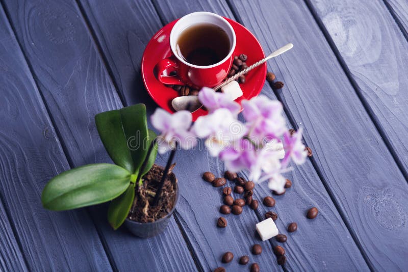 Coffee with orchid stock photo. Image of natural, valentines - 115119050