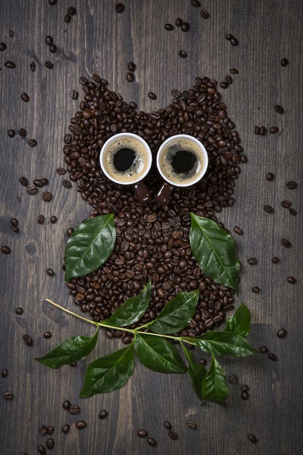 Coffee owl from beens stock photo. Image of leaves, roasted - 80562208