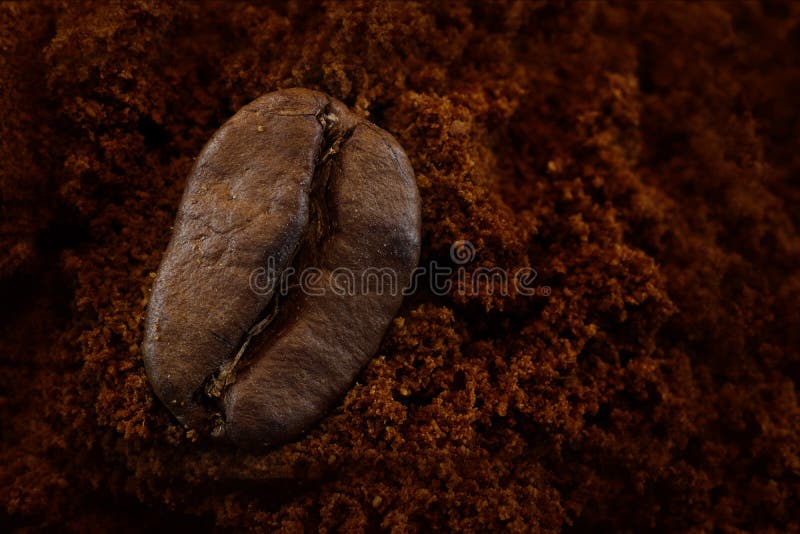 Coffee and passion stock photo. Image of drink, passion - 175935942
