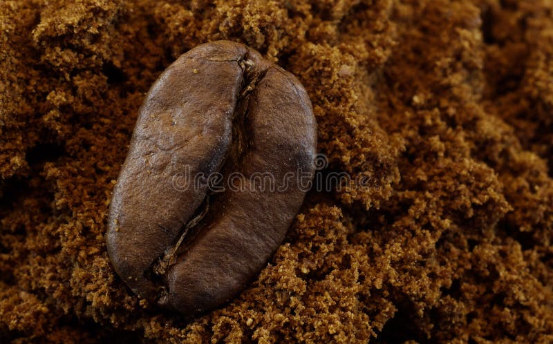 Coffee and passion stock photo. Image of taste, brown - 175935978