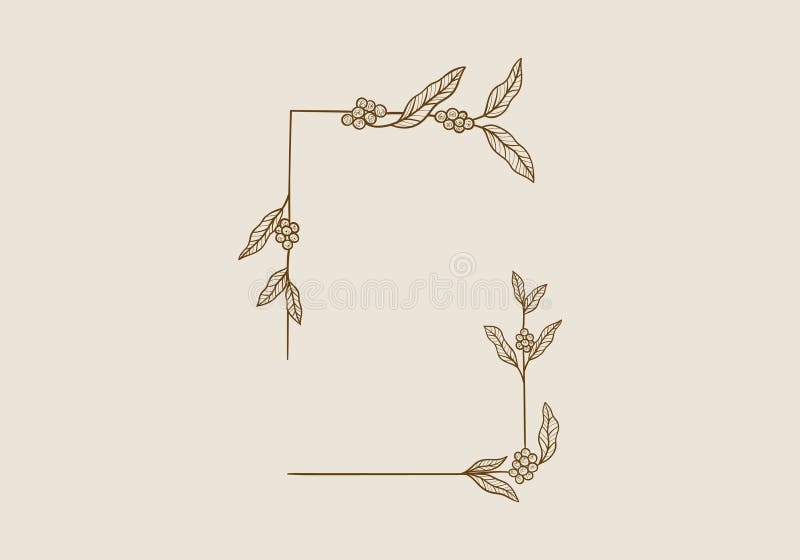 Coffee Plant Branch with Leaves Rectangle Frame Hand Drawn Decoration ...