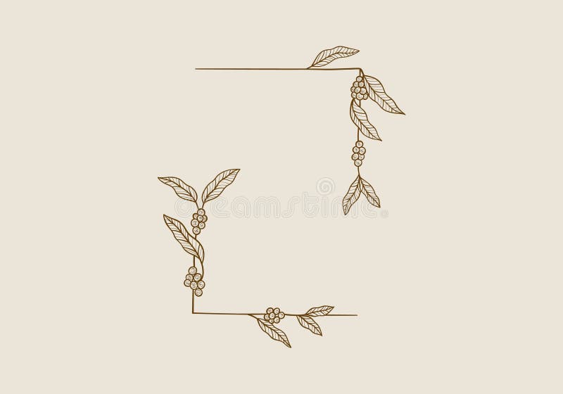 Coffee Plant Branch Rectangle Frame Hand Drawn Decoration Stock Vector ...
