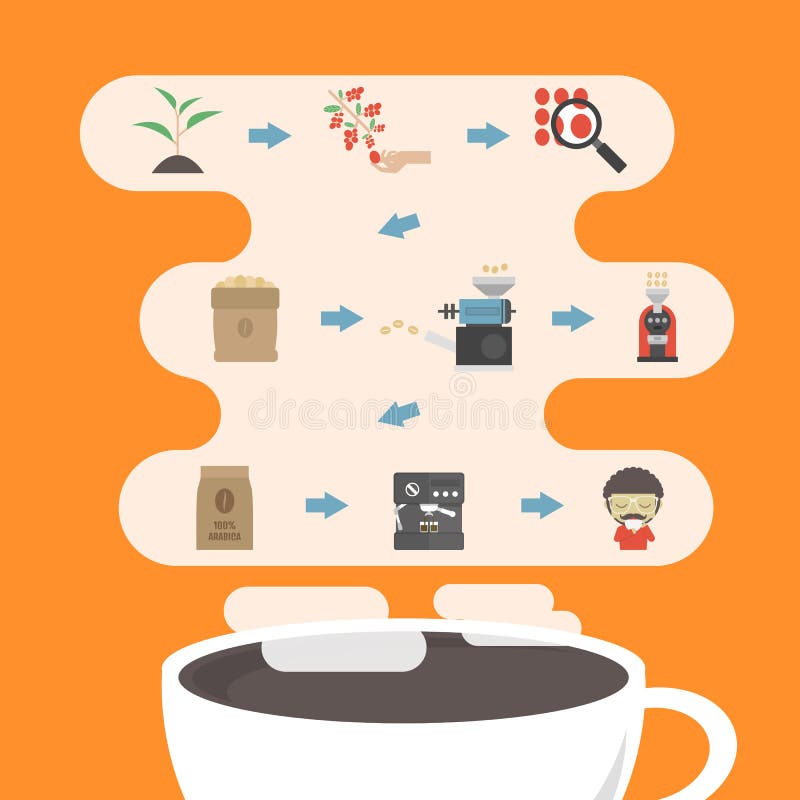 Coffee process stock vector. Illustration of background - 54743122