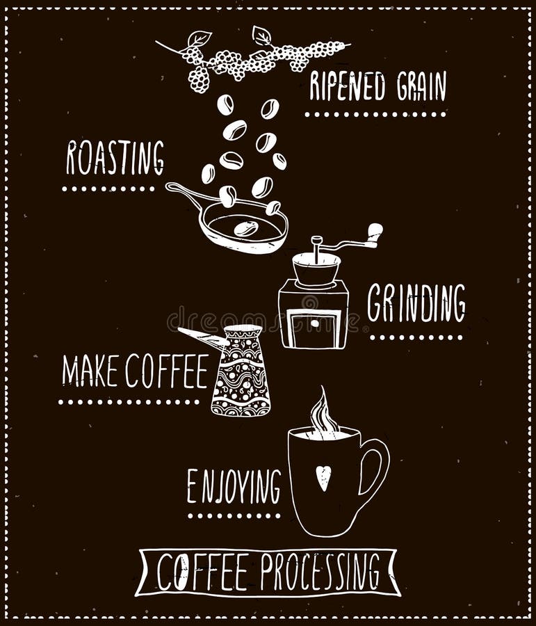 Coffee Processing Step by Step from Bean To Coffee Lover Stock ...