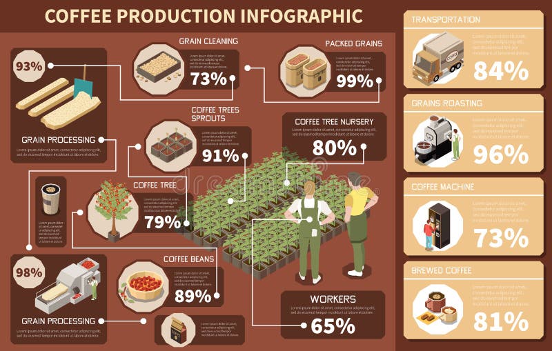 Coffee Production Isometric Infographics Stock Vector - Illustration of ...