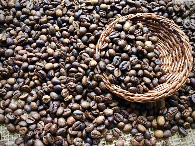 Coffee Production Process stock image. Image of detail - 185042001