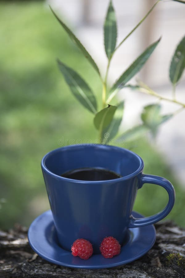 Coffee and raspberry stock photo. Image of stress, yoga - 157224504