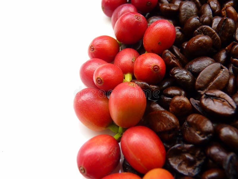 Coffee stock photo. Image of caffeine, excitement, global - 95162188