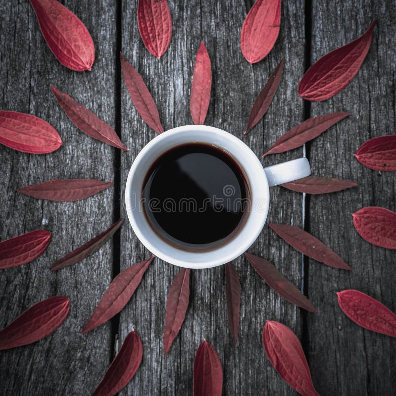 Coffee Red Leaves Pattern on White Background. Flat Lay Stock Image ...