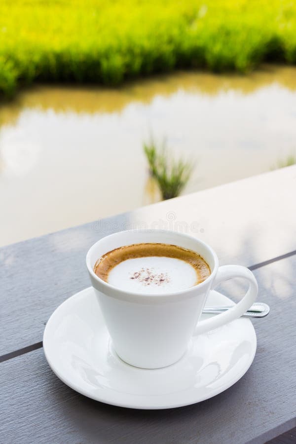Coffee relax stock photo. Image of table, wood, green - 36766828