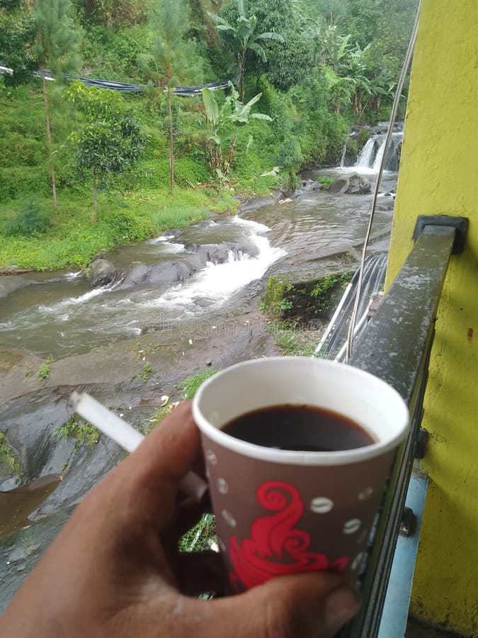 Coffee by the river stock image. Image of forest, nature - 380335817
