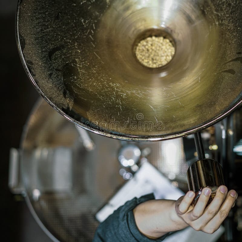 Coffee roaster stock photo. Image of hands, coffeebeans - 157953446