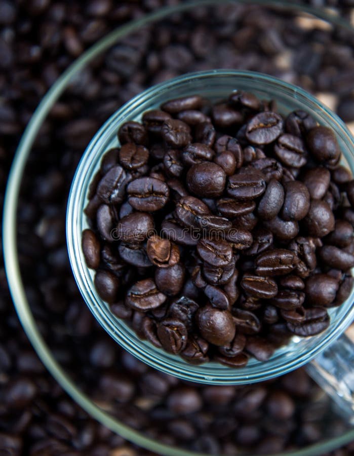 Cup of coffee and seed stock image. Image of morning - 10895497