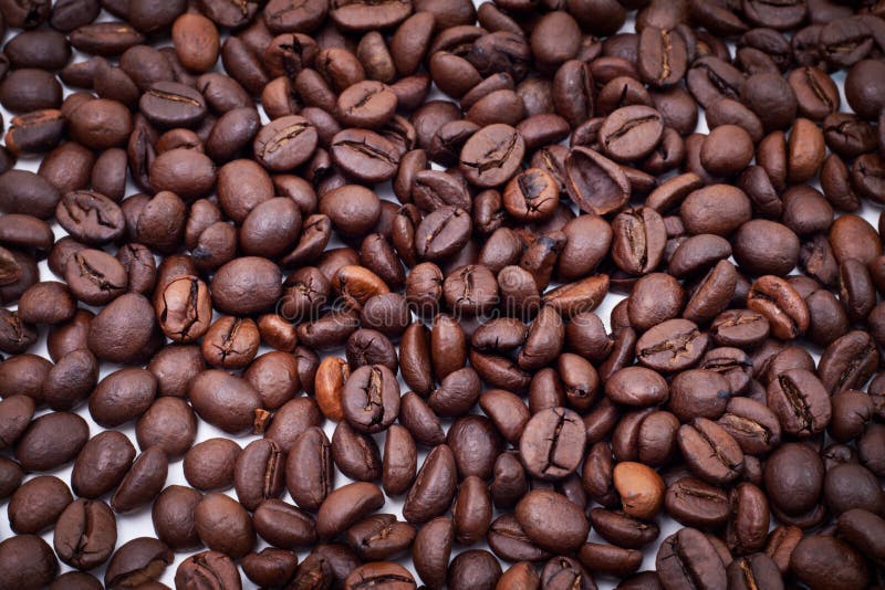 Coffee Seed stock image. Image of bean, arabica, agriculture - 53358555