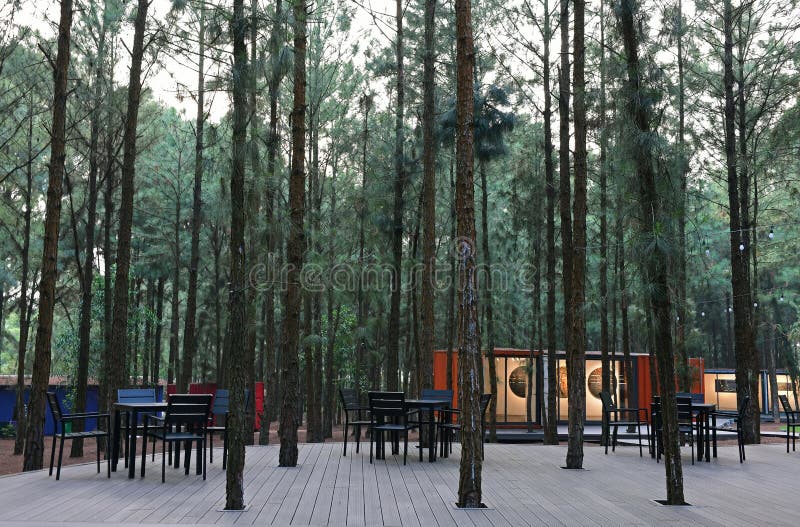 Coffee shop in the forest stock image. Image of shop - 163441473