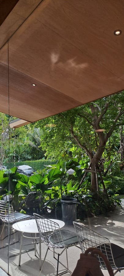 A Coffee Shop Full of Trees Stock Image - Image of viwe, coffee: 359969829