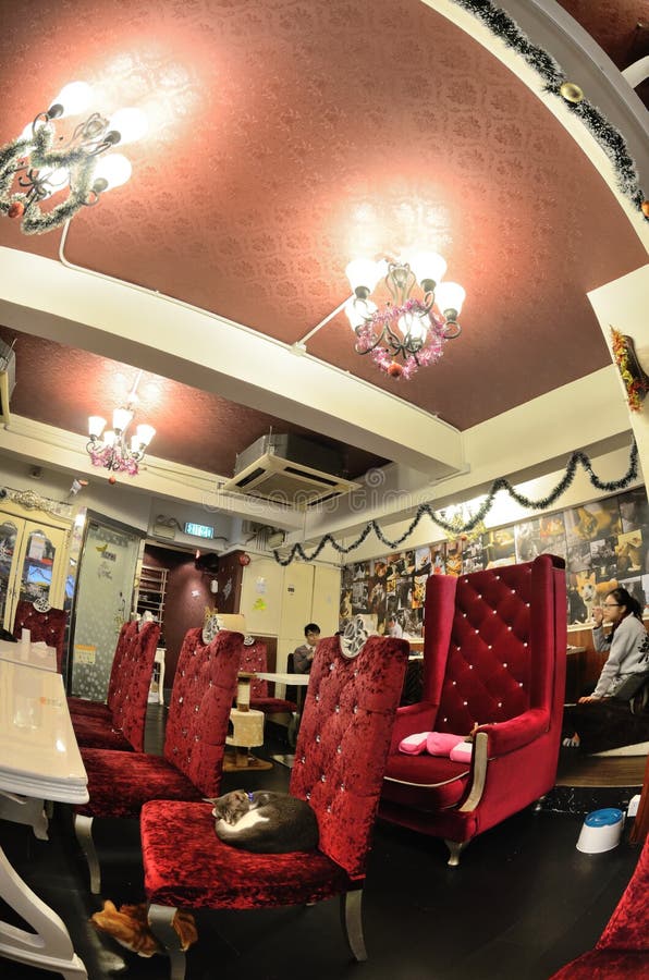 Coffee Shop Interior Design Editorial Photo - Image of architecture ...