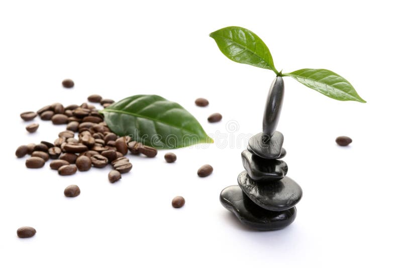 Coffee spa stock image. Image of health, pebbles, stones - 5386921