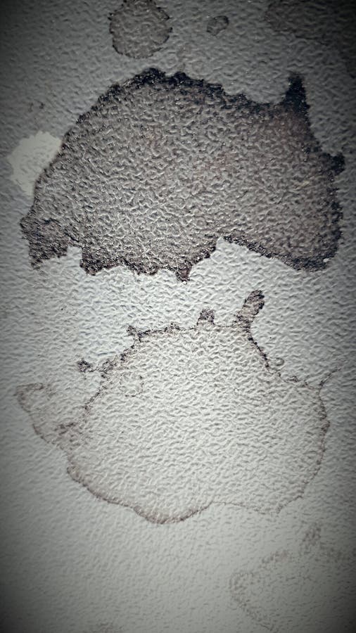 Coffee Watermark Stock Photos - Free & Royalty-Free Stock Photos from ...