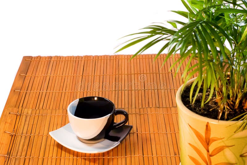 Coffee Table with House Plant in a Pot Stock Image - Image of refresh ...