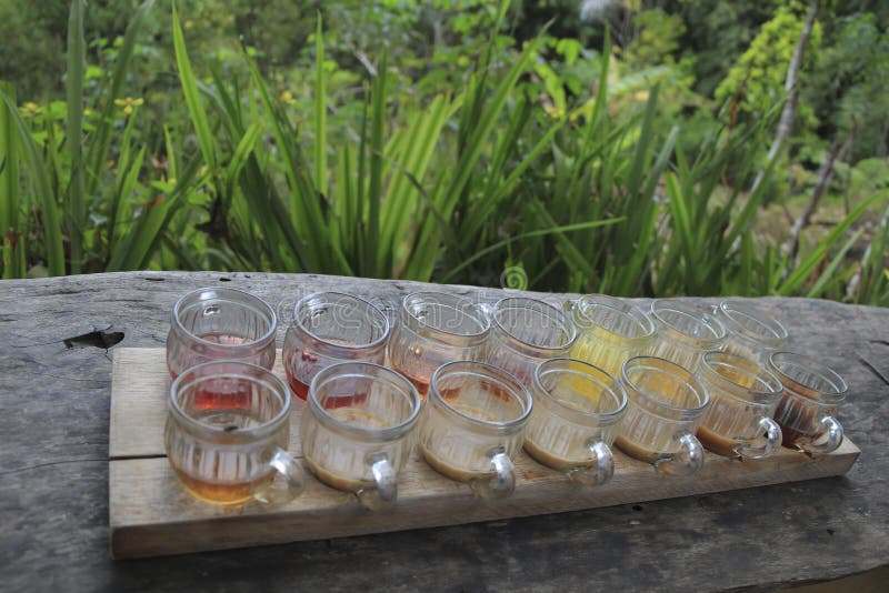 Coffee and Tea Sample Cups on Table Stock Image - Image of copy ...