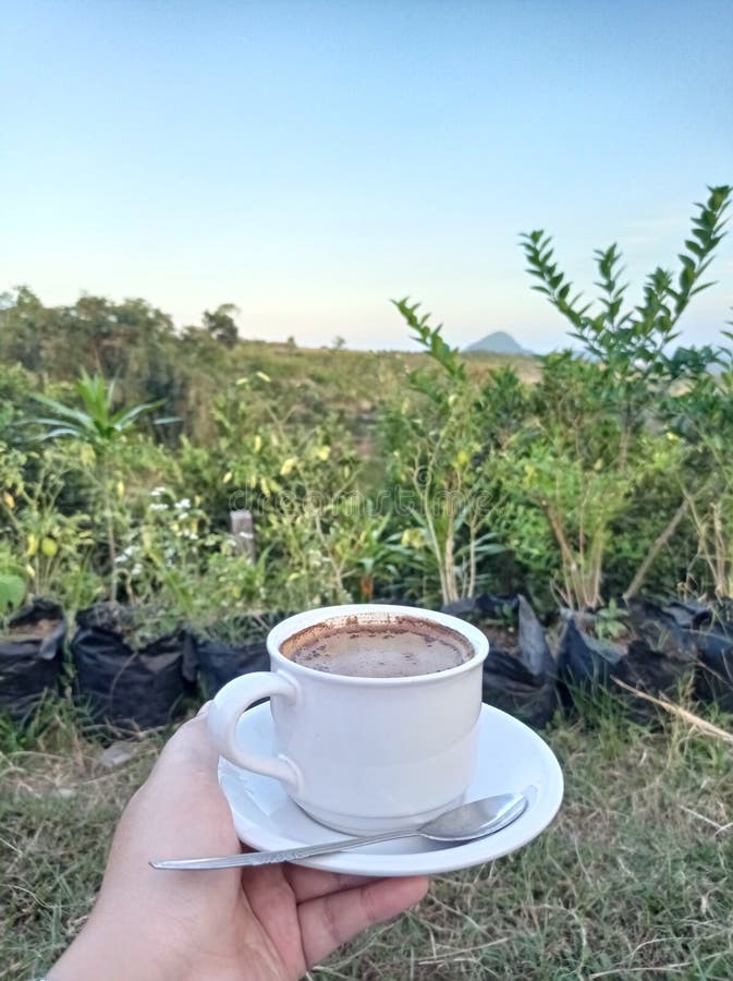 Coffee Tea with Sunset Moment Stock Image - Image of food, coffee ...