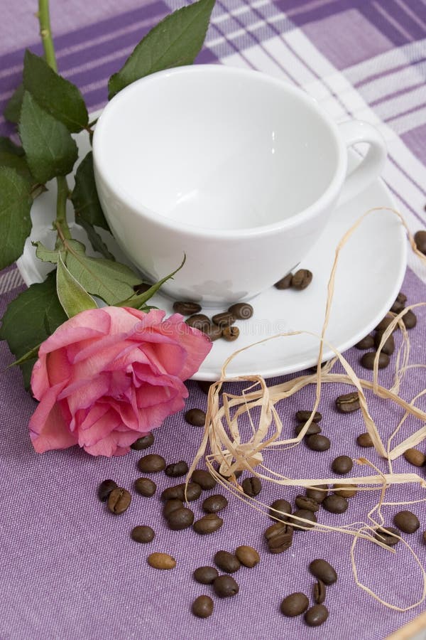 Coffee theme stock photo. Image of bloom, brew, decoration - 13225822