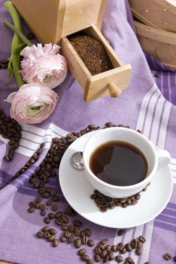 Coffee theme stock image. Image of purple, brew, bloom - 13326605