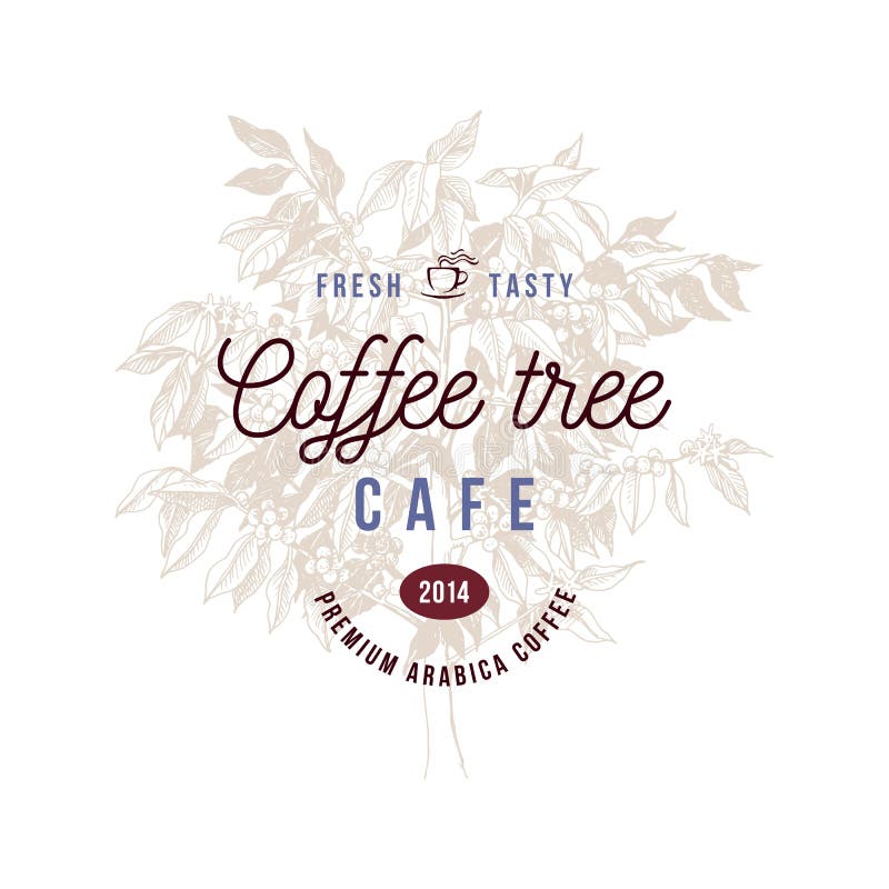 Coffee Tree Cafe Label Over Hand Drawn Coffee Tree Stock Vector ...