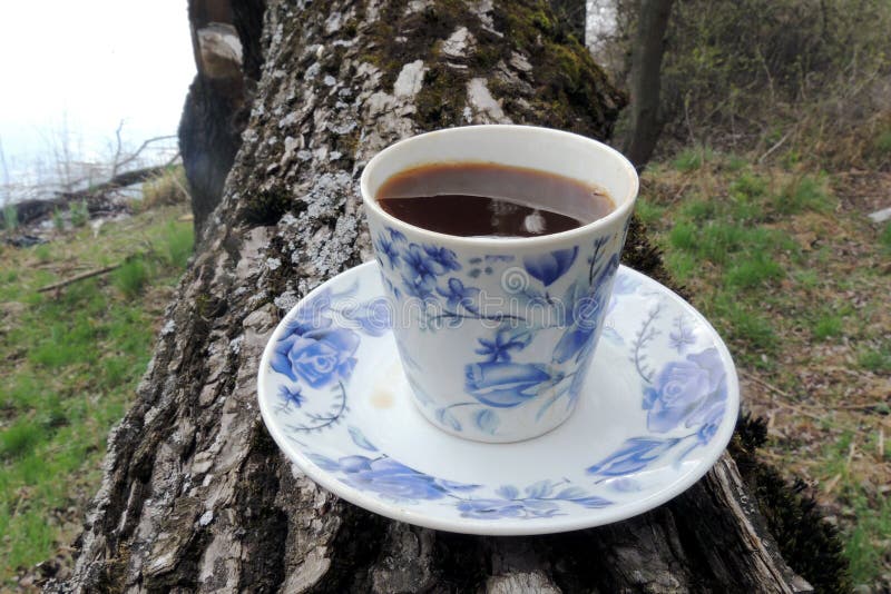 Coffee stock photo. Image of blue, twig, tree, drink - 53109102