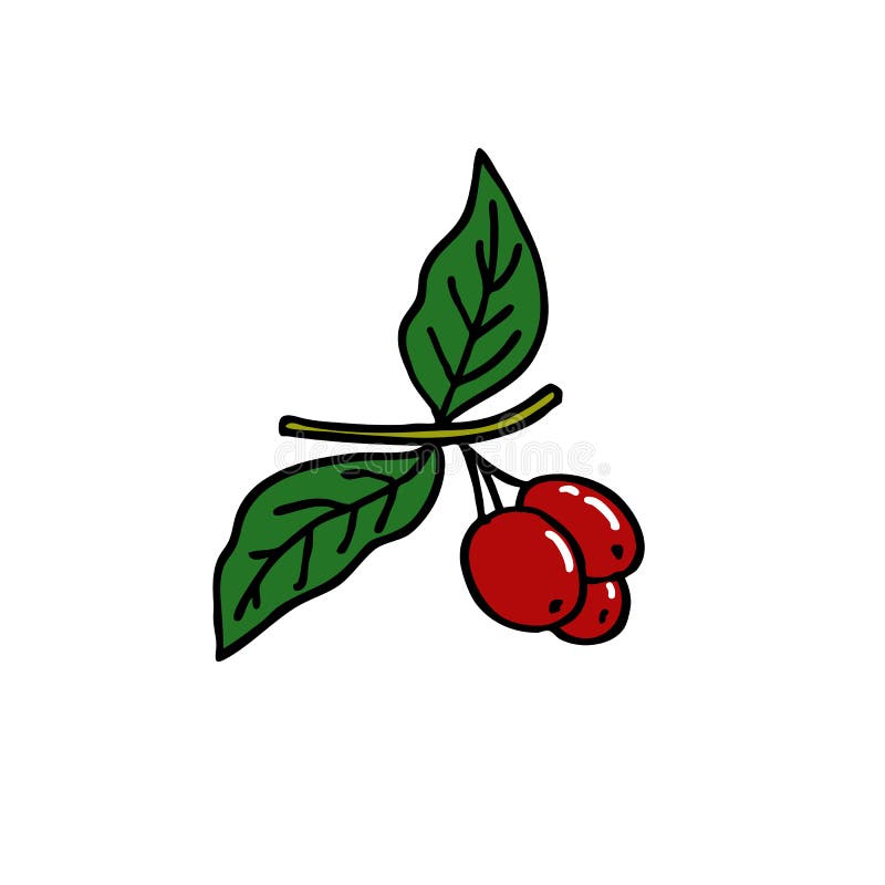 Coffee tree doodle icon stock illustration. Illustration of icon ...
