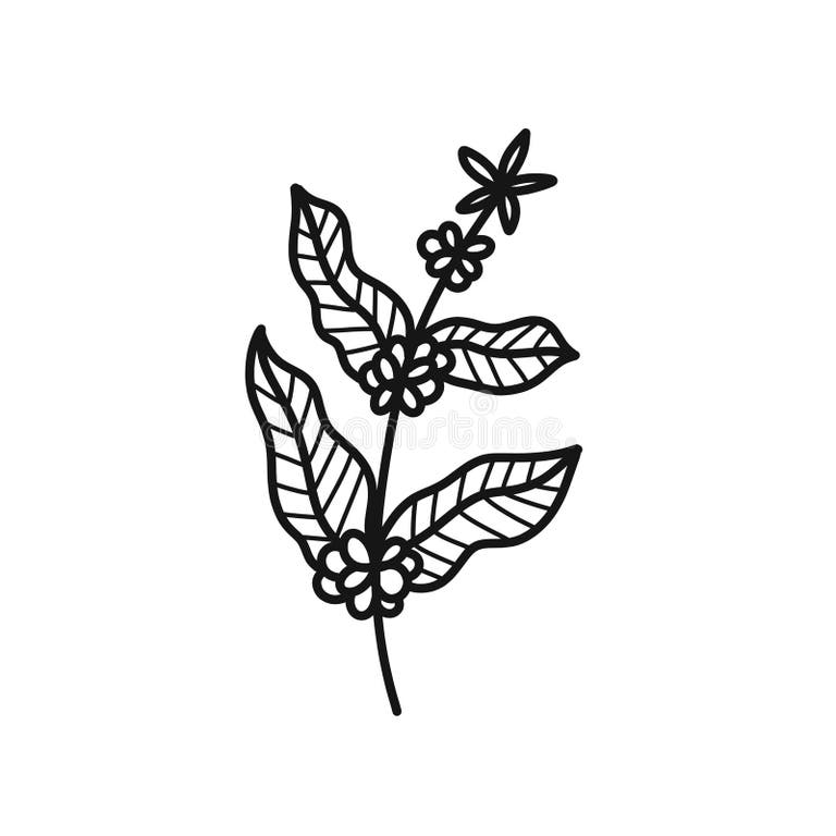 Coffee Tree Doodle Icon, Vector Illustration Stock Illustration ...