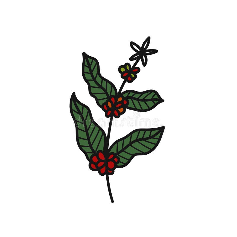 Coffee Tree Doodle Icon, Vector Illustration Stock Illustration ...