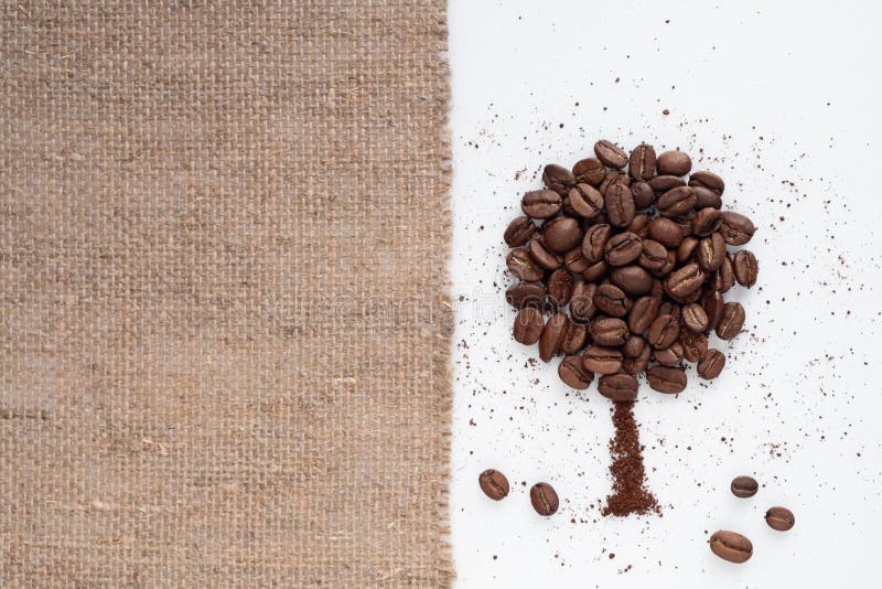 Coffee Tree Made of Coffee Beans on Burlap Rustic Rough Simple ...