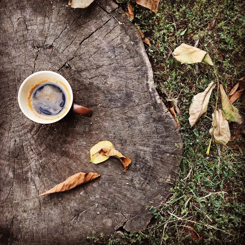 Coffee on a tree stump stock image. Image of aroma, lifestyle - 200095677