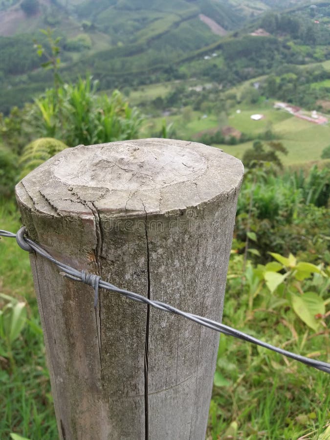 Coffee Triangle, Salento, Colombia Stock Image - Image of surreal ...