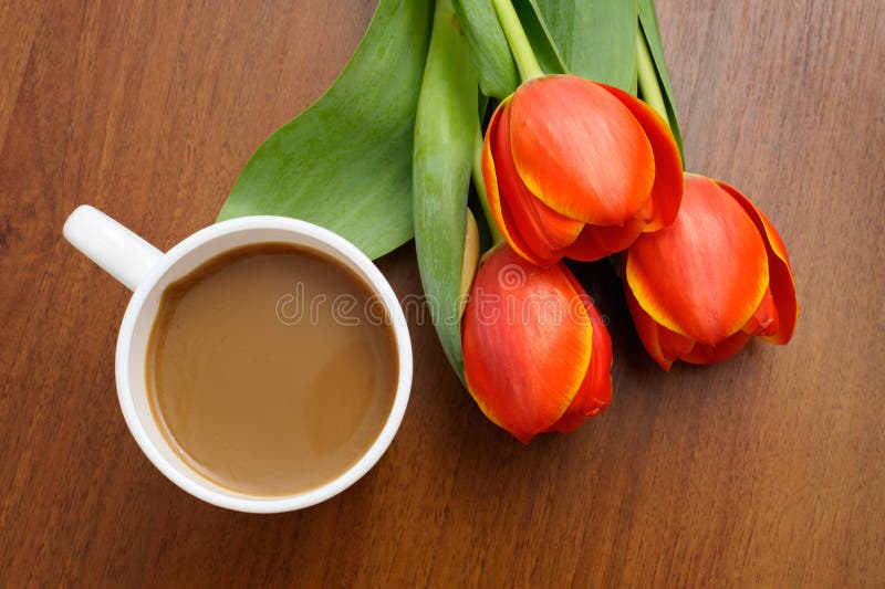 Coffee Mug with Yellow Tulip Flowers and Notes Good Morning on Blue ...