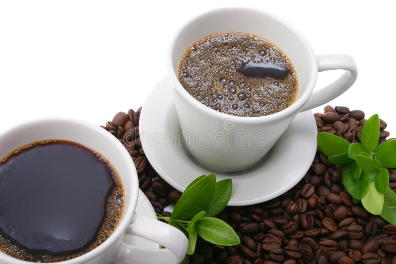 Coffee for two stock photo. Image of cooky, break, agriculture - 800396