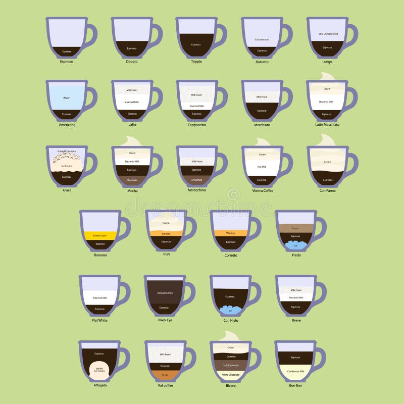 Types of Coffee Vector Illustration. Infographic of Coffee Types Stock ...