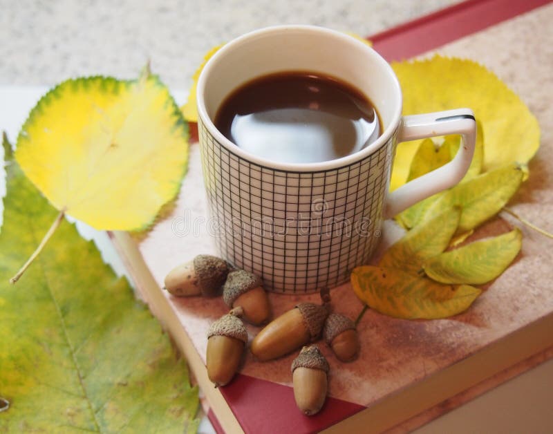 Coffee and leaves stock photo. Image of life, drink, leaf - 78181494
